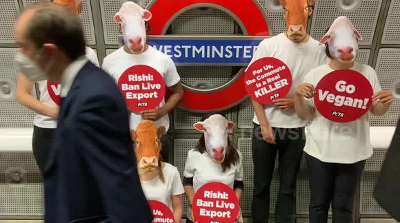 PETA activists wearing animal masks cram onto London tube - Buy, Sell ...