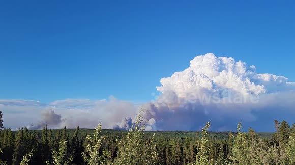 Real Time video of the smoke and pyrocumulus Cloud over the Donnie Creek Wildfire near Pink ...