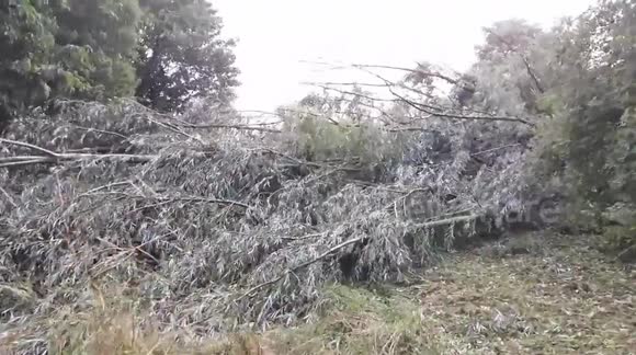 Netherlands: Record-Breaking Summer Storm Poly Leaves Trail Of Damage ...