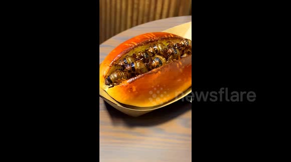 Chinese cake shop unveils cicada bread, a nostalgic hit among locals ...