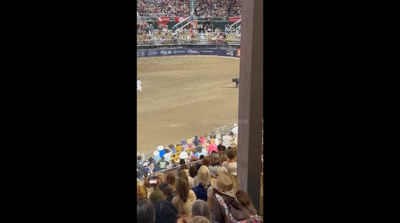 Matador Injured by Bull at Rodeo - Buy, Sell or Upload Video Content ...