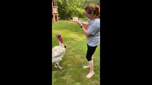 Frito The Turkey Gets Special Cake for His First Birthday - Buy, Sell ...