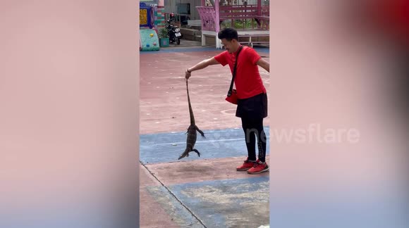 Wild monitor lizard sparks chaos chasing children through school ...