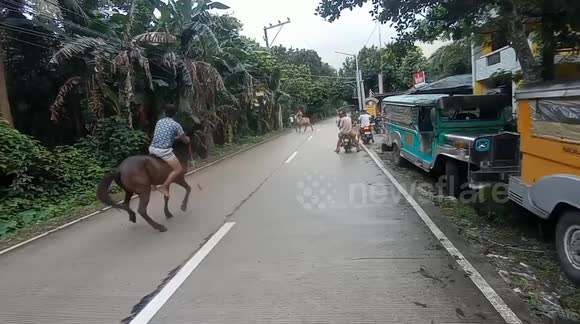 Filipino locals have gypsy-style road race with their horses - Buy ...