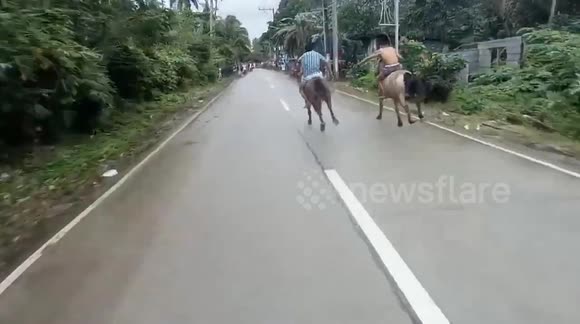 Filipino locals have gypsy-style road race with their horses - Buy ...
