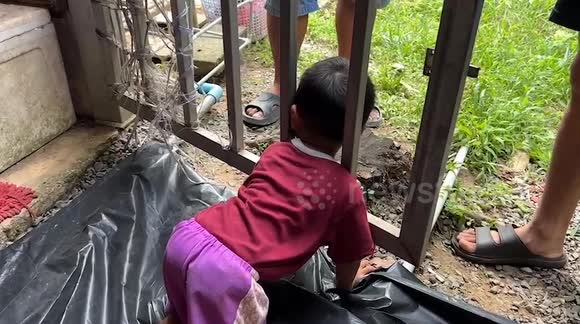 Boy, 3, with head stuck on metal railings rescued in Thailand - Buy ...