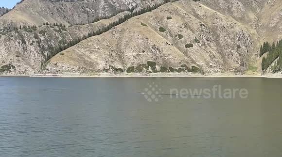 Woman claims to spot '50-foot-long sea monster' on lake in China - Buy ...