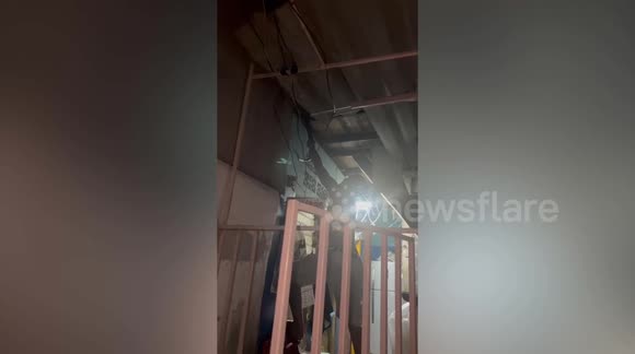 Brave resident catches large python hiding ceiling of his home - Buy ...