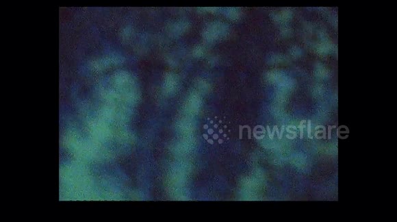 Ball lighting Plasma orb captured in the sky on a nightvision monocular ...