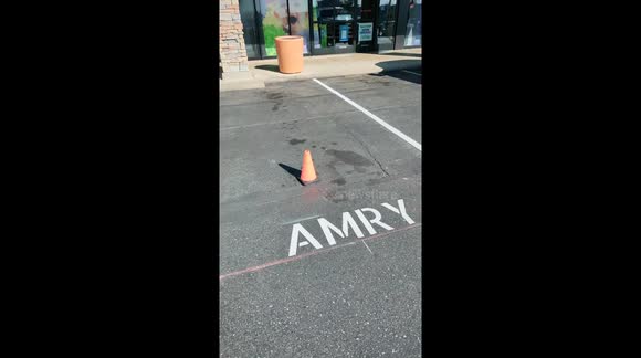 "Should've gone to college!" Painters misspell "ARMY" as "AMRY" on ...