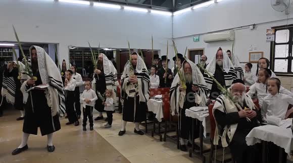 Hoshana Raba ritual held at end of week-long Sukkot in Israel - Buy ...