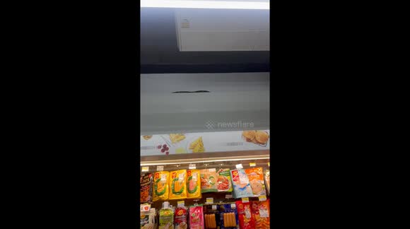 Godzilla returns! Monitor lizard crawls above supermarket shelves in ...