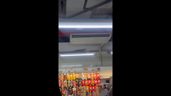 Godzilla returns! Monitor lizard crawls above supermarket shelves in ...