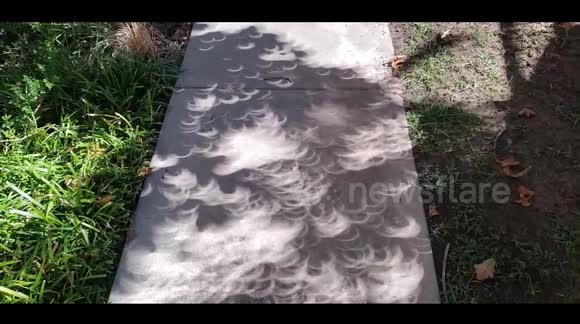 US: Annular Solar Eclipse Creates Unique Crescent-Shaped Shadows 2 ...