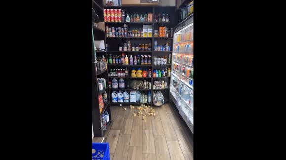 Deli cat Mimi takes charge: shelf-clearing cuteness at Manhattan bodega ...