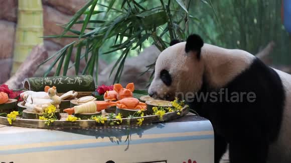 Giant panda "Kuku" enjoys meal on Int'l Panda Day in China - Buy, Sell ...