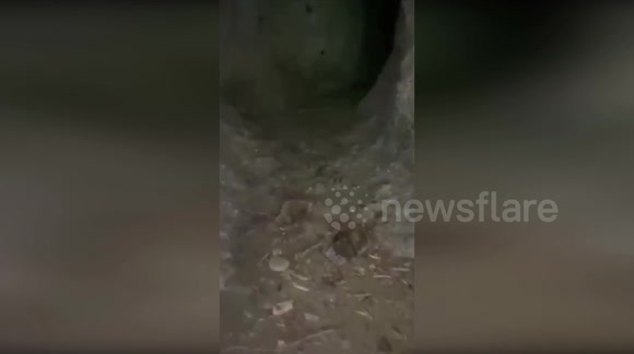 Turkish Soldiers Unearth Hidden Caves in High-Stakes Claw-Lock ...
