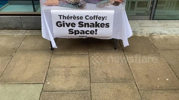 PETA activist wearing a snake costume climbs inside a cramped tank ...