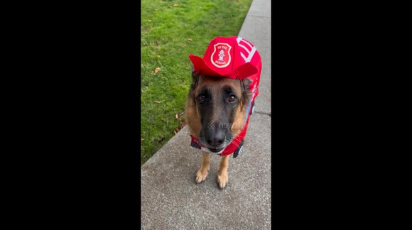 Remy Ready To Rescue - Buy, Sell or Upload Video Content with Newsflare