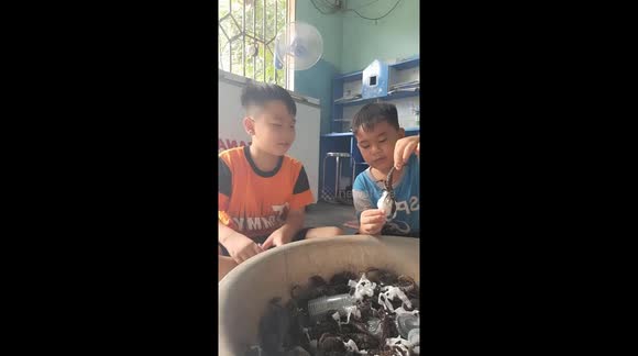 Two young boys help scorpion-hunting mum, using bare hands to catch ...