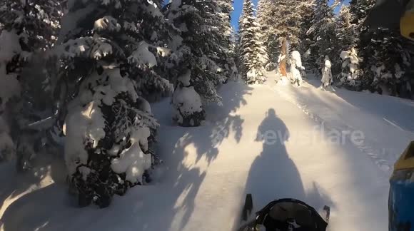 Snowmobile mishap: tree collision caught on camera - Buy, Sell or ...