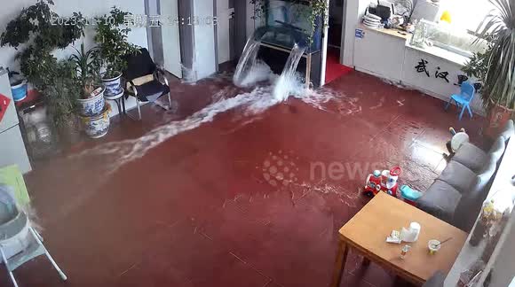 Fish tank suddenly bursts, flooding resident's house in China - Buy ...