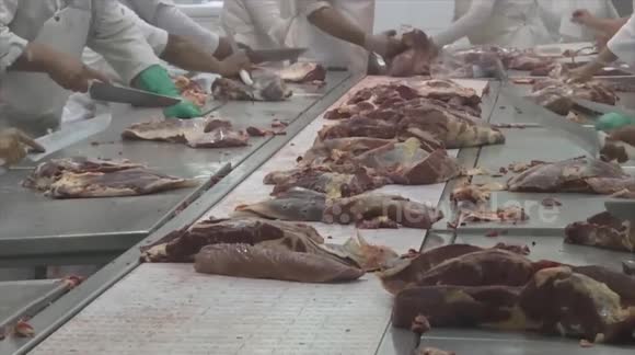 52 million tons of meat are wasted worldwide - Buy, Sell or Upload ...