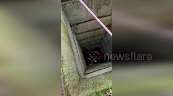 Firefighters Save 70kg Cane Corso from 10-Meter Well Plunge in Rome ...