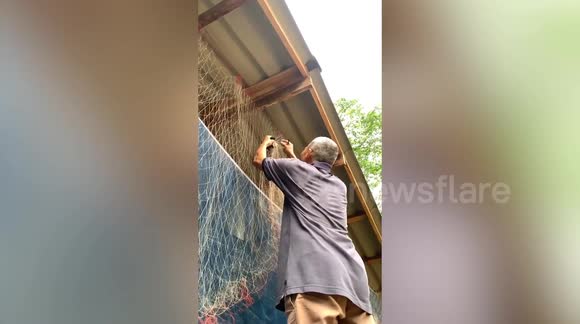 Grandfather saves bird stuck in net of his farm's enclosure - Buy, Sell ...