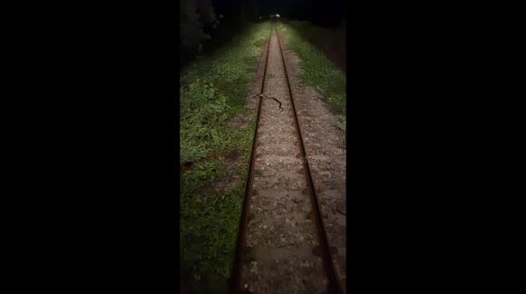 Snake slithers onto railway track holding up locomotive in Thailand ...