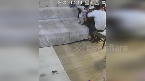 Quick-thinking dad catches toddler falling headlong from sofa - Buy ...