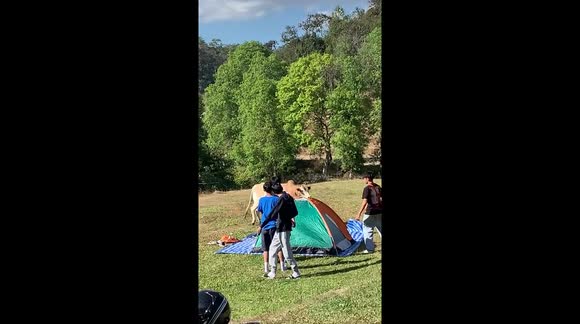 Enraged cow chases families on camp site in Thailand - Buy, Sell or ...