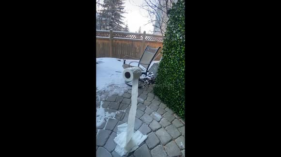 Frozen Toilet Paper Roll Defies Gravity - Buy, Sell or Upload Video ...