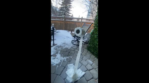 Fantastic footage shows frozen toilet paper roll amazingly defying ...