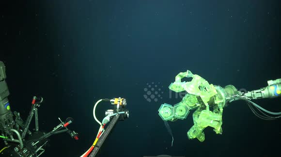 Origami-inspired robot can identify new marine species 'in minutes ...