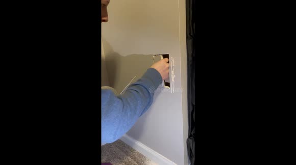 Adventurous Kitty Gets Stuck Behind Basement Wall - Buy, Sell or Upload ...