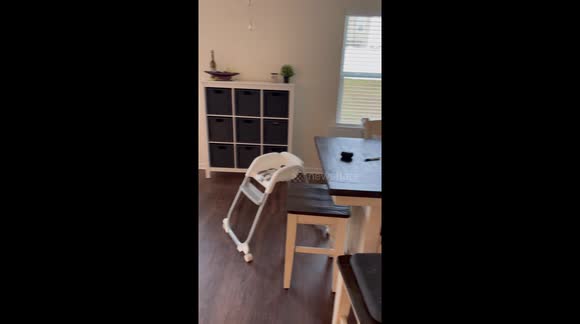 The Cutest Cuddle Cubby - Buy, Sell or Upload Video Content with Newsflare