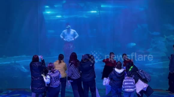 Aquarium merman delights visitors with performance in China - Buy, Sell ...