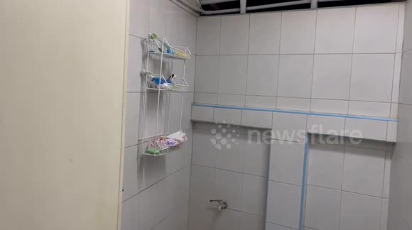 Terrified woman finds huge python curled up in her bathroom - Buy, Sell ...