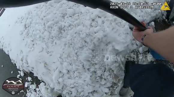 Police Officer Goes Above and Beyond to Assist Stranded Motorist During ...