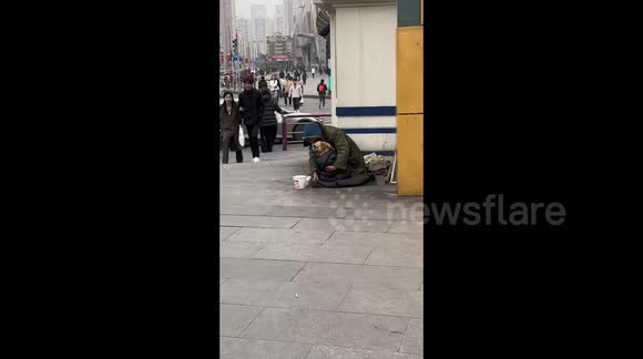 Homeless Man Lovingly Dresses Up His Dog as Street Icon in Liaoning ...