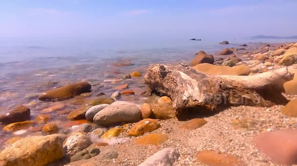 timelapse video the sea and a rotten wood in a beach - Buy, Sell or ...