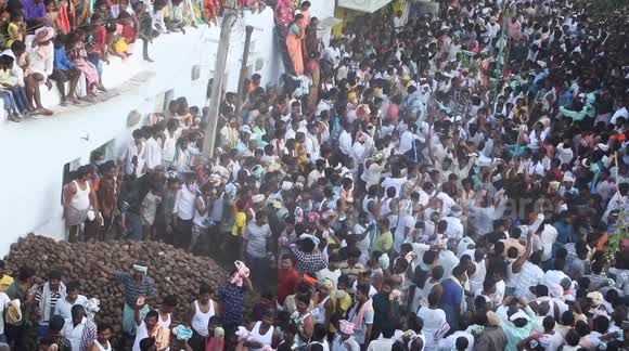 Thousands of Devotees throw cow dung at each other during epic ritual ...