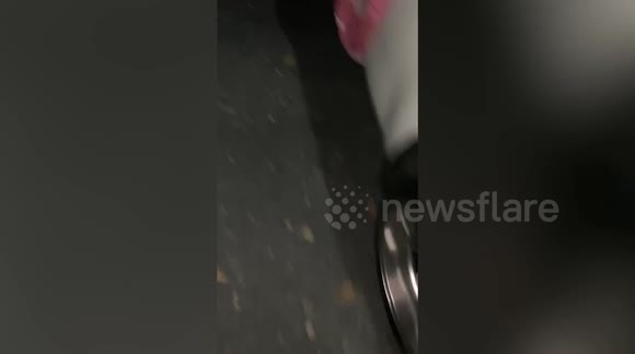 Stray cat drowning in clay jar with water rescued - Buy, Sell or Upload ...