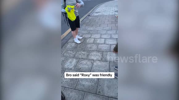 Funny moment fox bites man's leg after he claims "it's friendly" - Buy ...