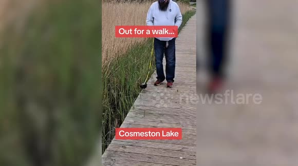 "We saved a pigeon from drowning - and now he's part of the family ...