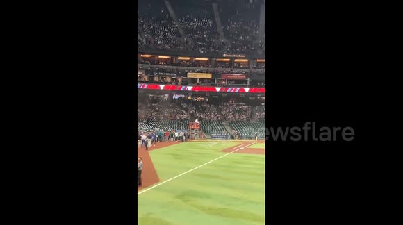 US: Swarm Of Bees Disrupts MLB Game Between Diamondbacks And Dodgers At ...