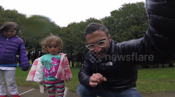 Dead mouse floating in pool, viewed from underwater camera - Buy, Sell ...