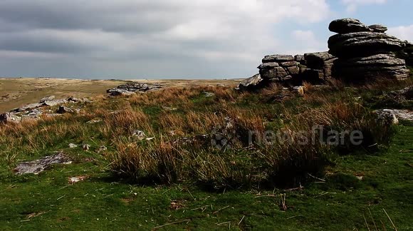 Combestone Tor rock basins which were the one-time Druidical ceremonial ...