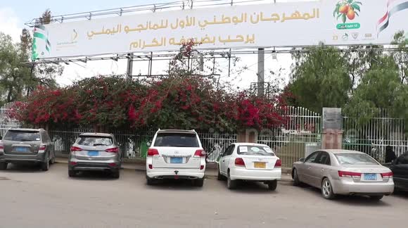 Yemen holds mango festival to boost agriculture sector - Buy, Sell or ...